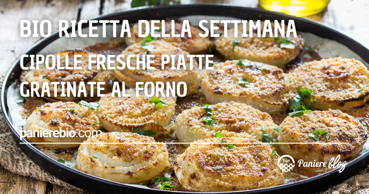 Cipolla Fresca Piatta Gratinata al forno - Blog PaniereBio