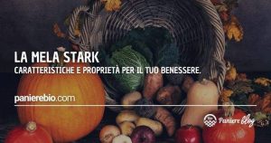 Caratteristiche e proprietà benefiche della mela Stark | Blog PaniereBio