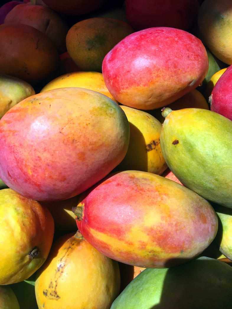 Mango frutto esotico: come si mangia e come si pulisce | Blog PaniereBio